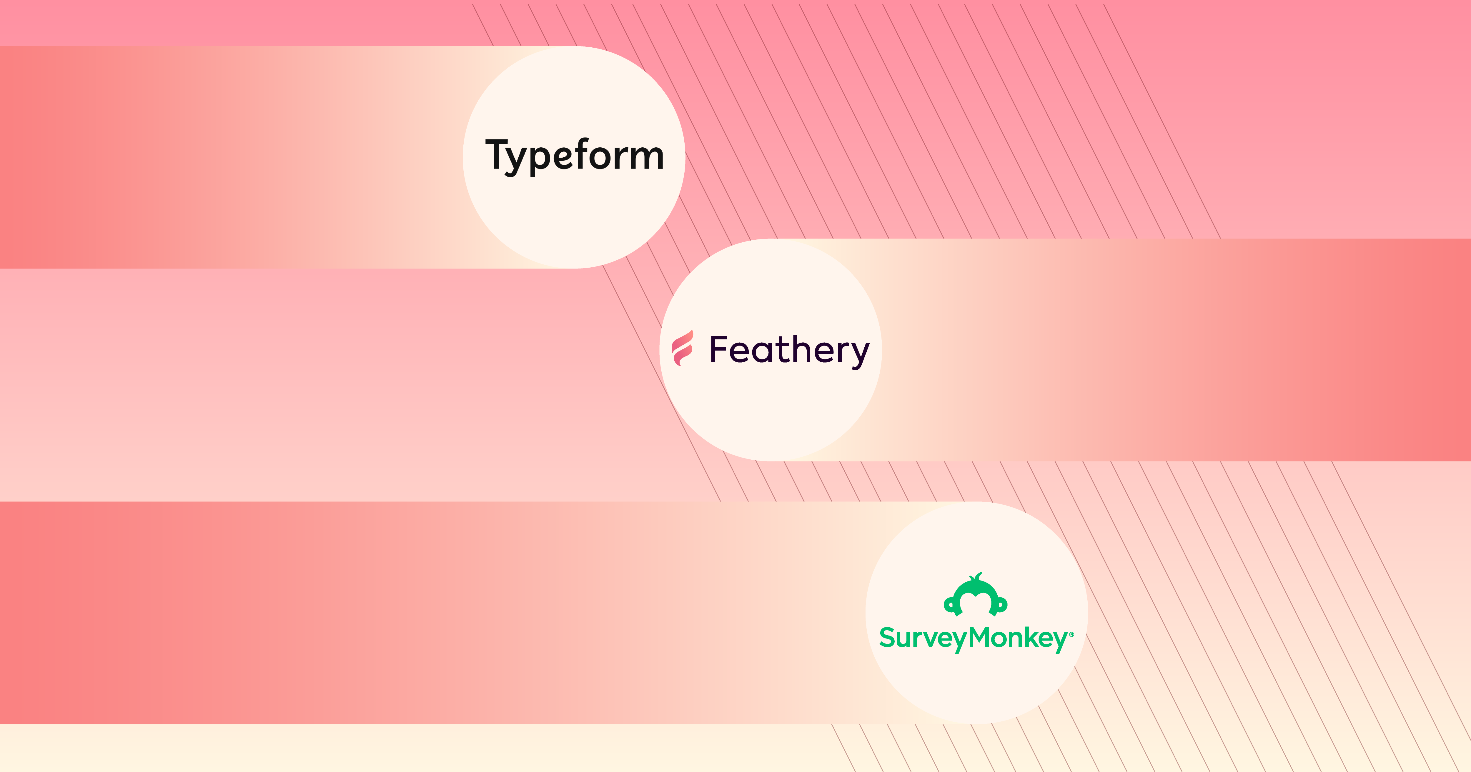 Typeform vs SurveyMonkey vs Feathery: Best Form Builder for Custom Forms